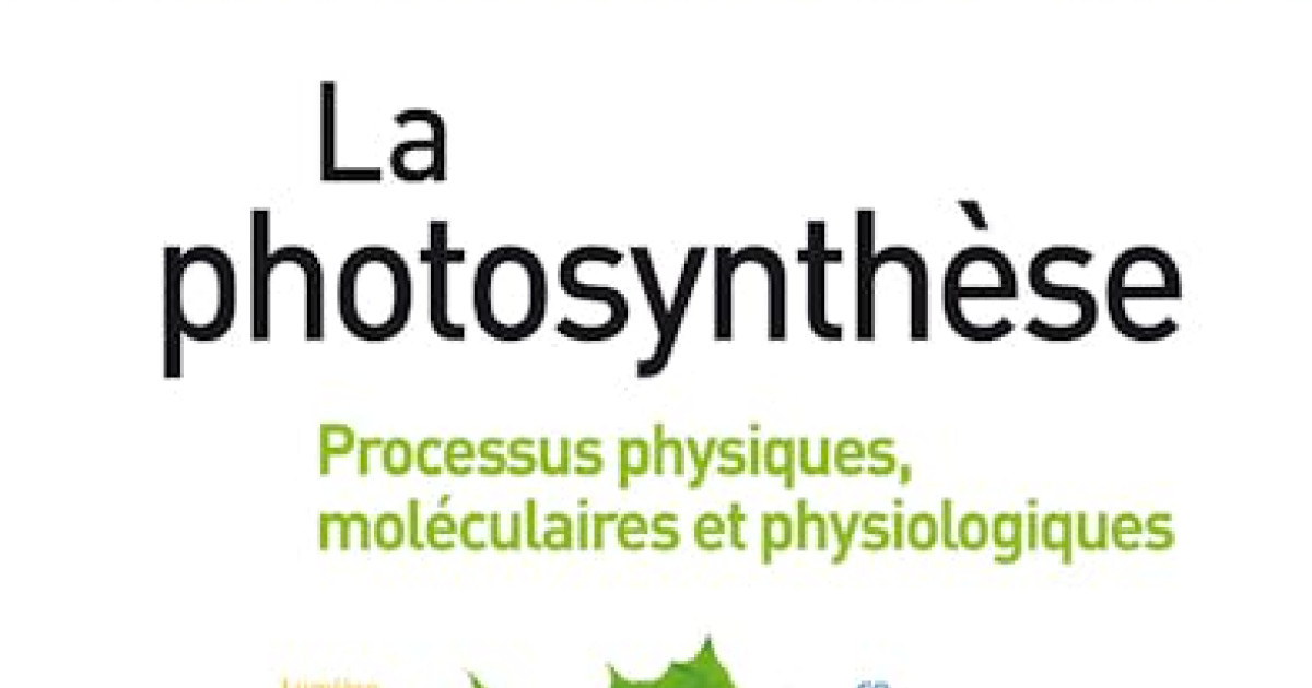 La photosynthèse : Processus physiques, moléculaires et physiologiques ...